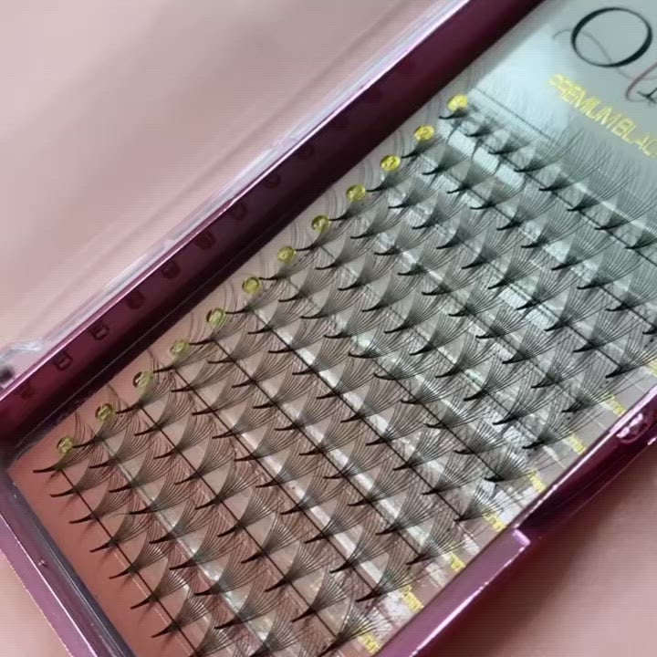 PREMADE FANS 10D D CURL POINTY BASE | Omylashes